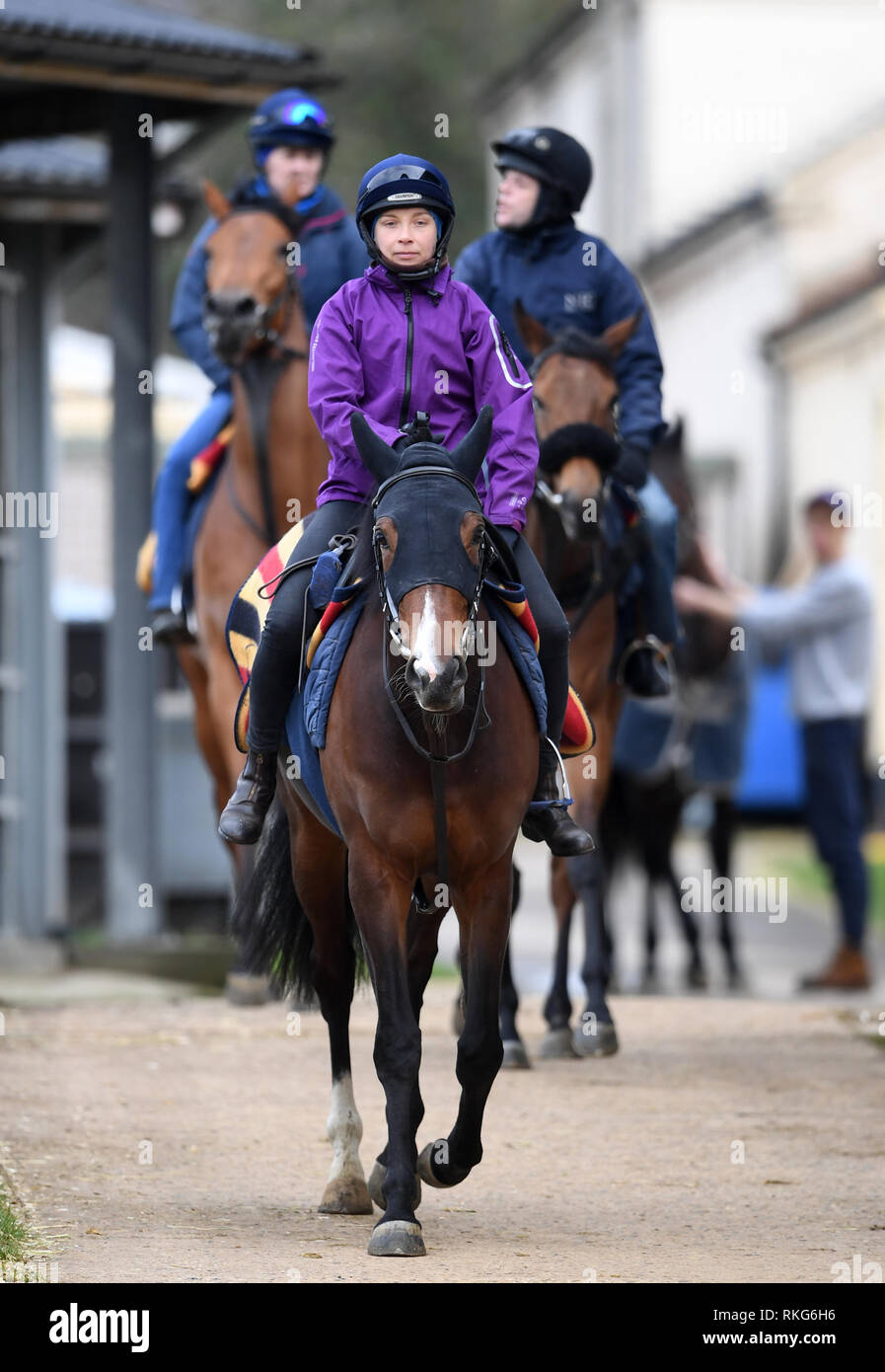 Stables staff hi-res stock photography and images - Alamy