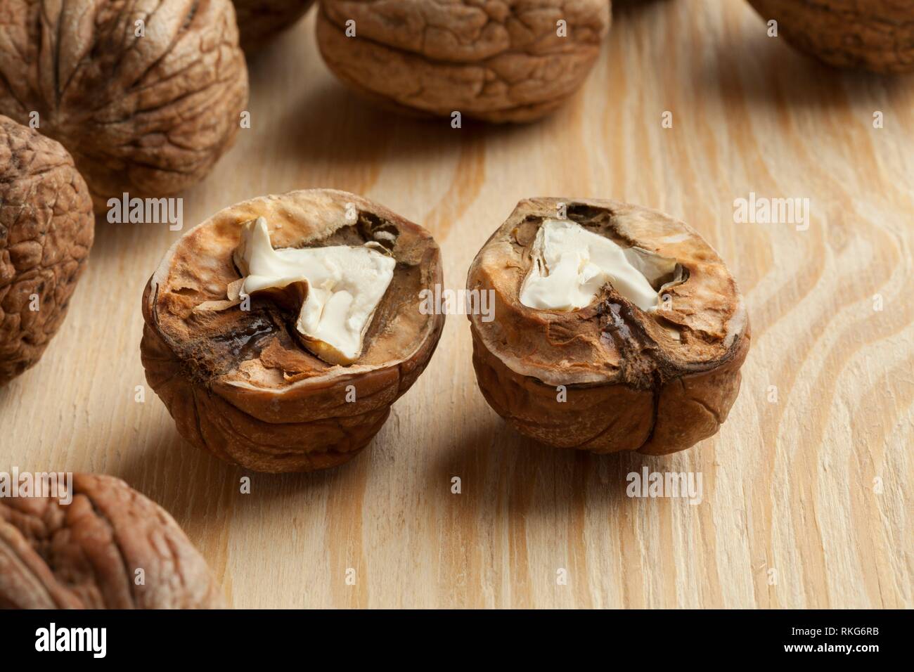 Two walnut hi-res stock photography and images - Alamy