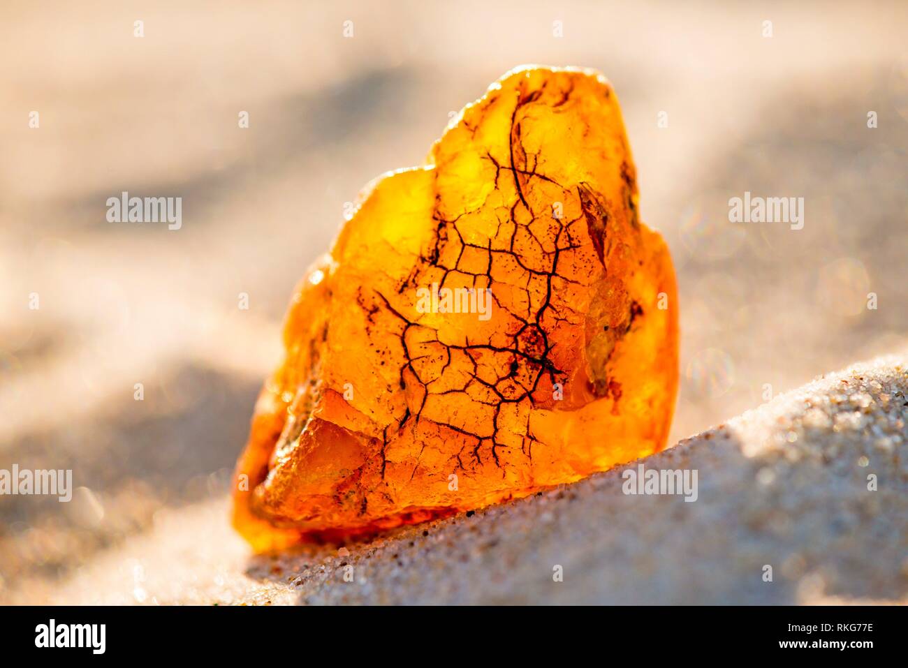 Amber on a beach of the Baltic Sea Stock Photo - Alamy