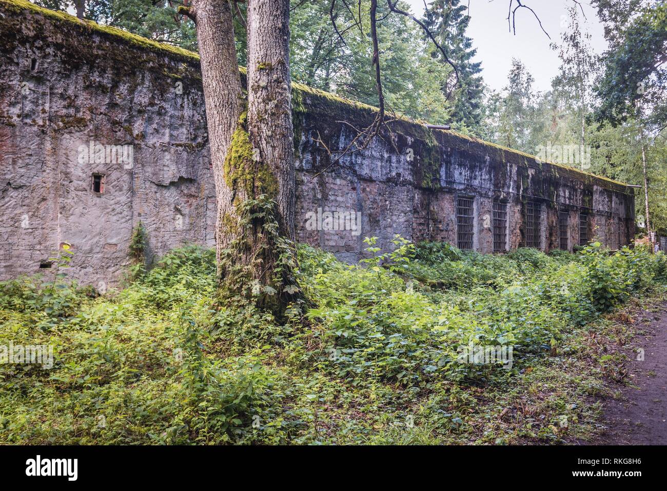 Wolf's lair poland hi-res stock photography and images - Alamy