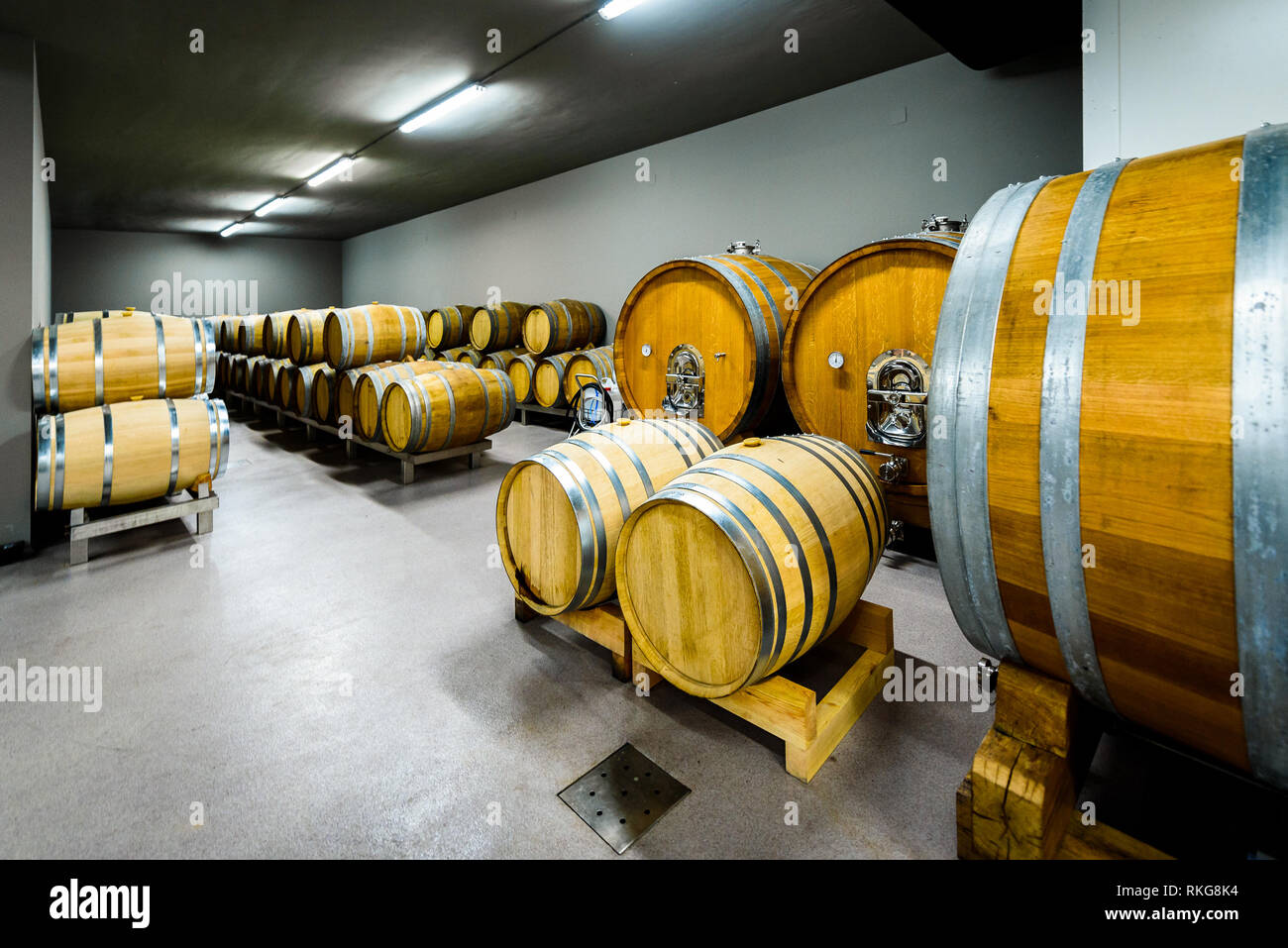 Wooden wine barrels stacked in modern winery cellar in Spain. Modern ...