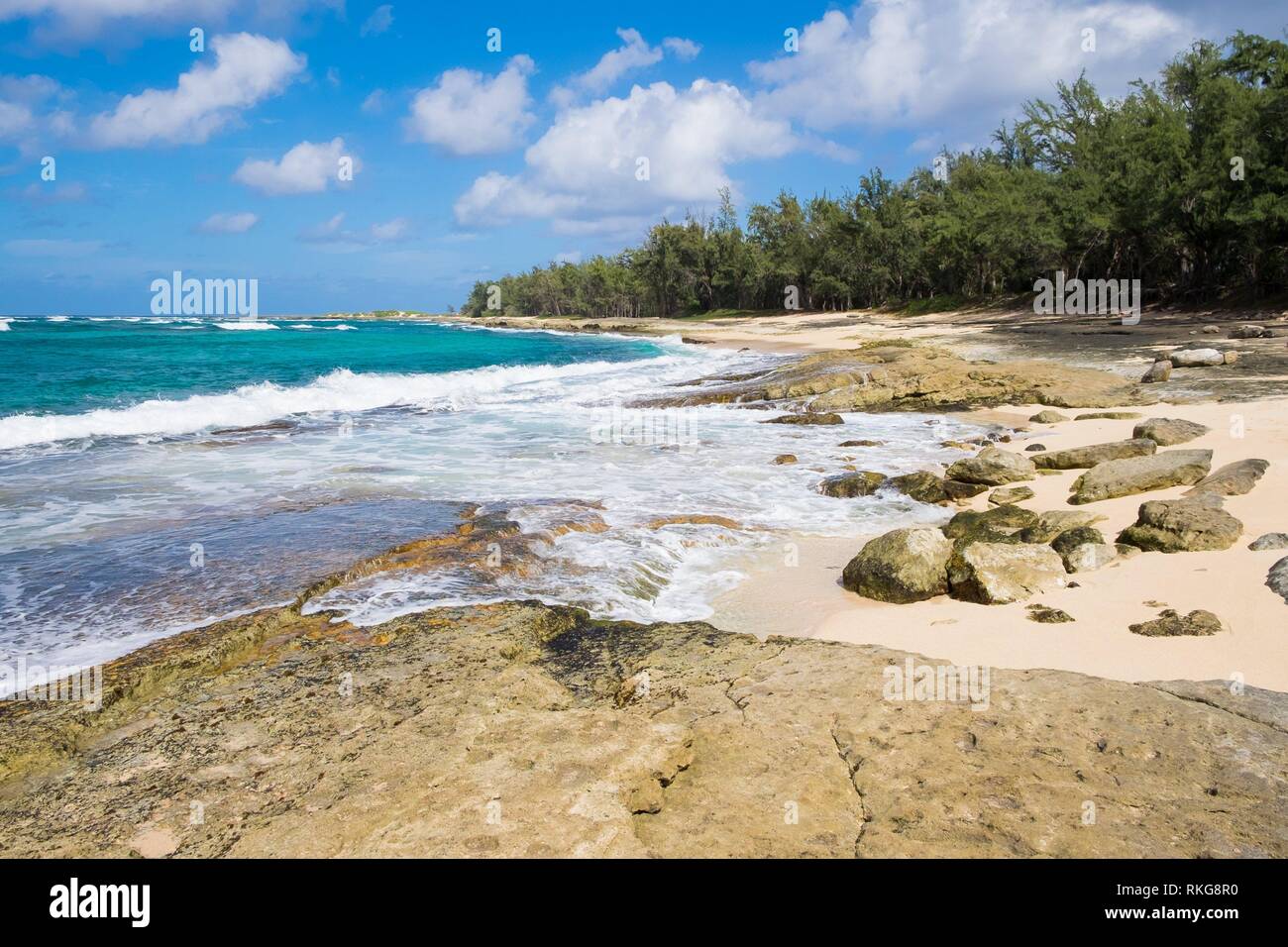 Beach and Pacific Ocean at Turtle Bay Oahu Hawaii Stock Photo - Alamy