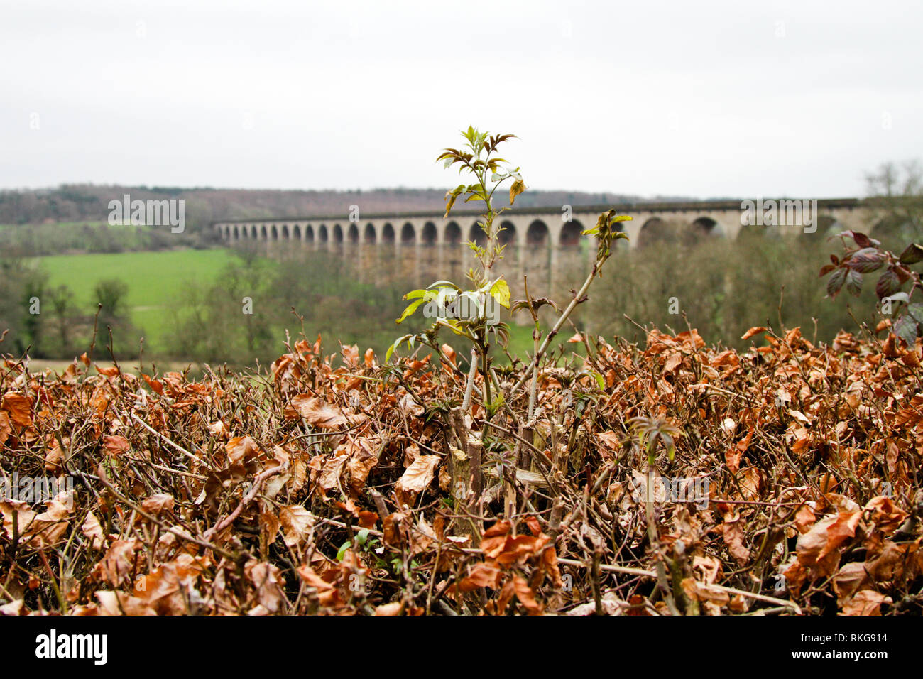 Beautiful vista of Harrogate viaduct in the North Yokshire countryside ...