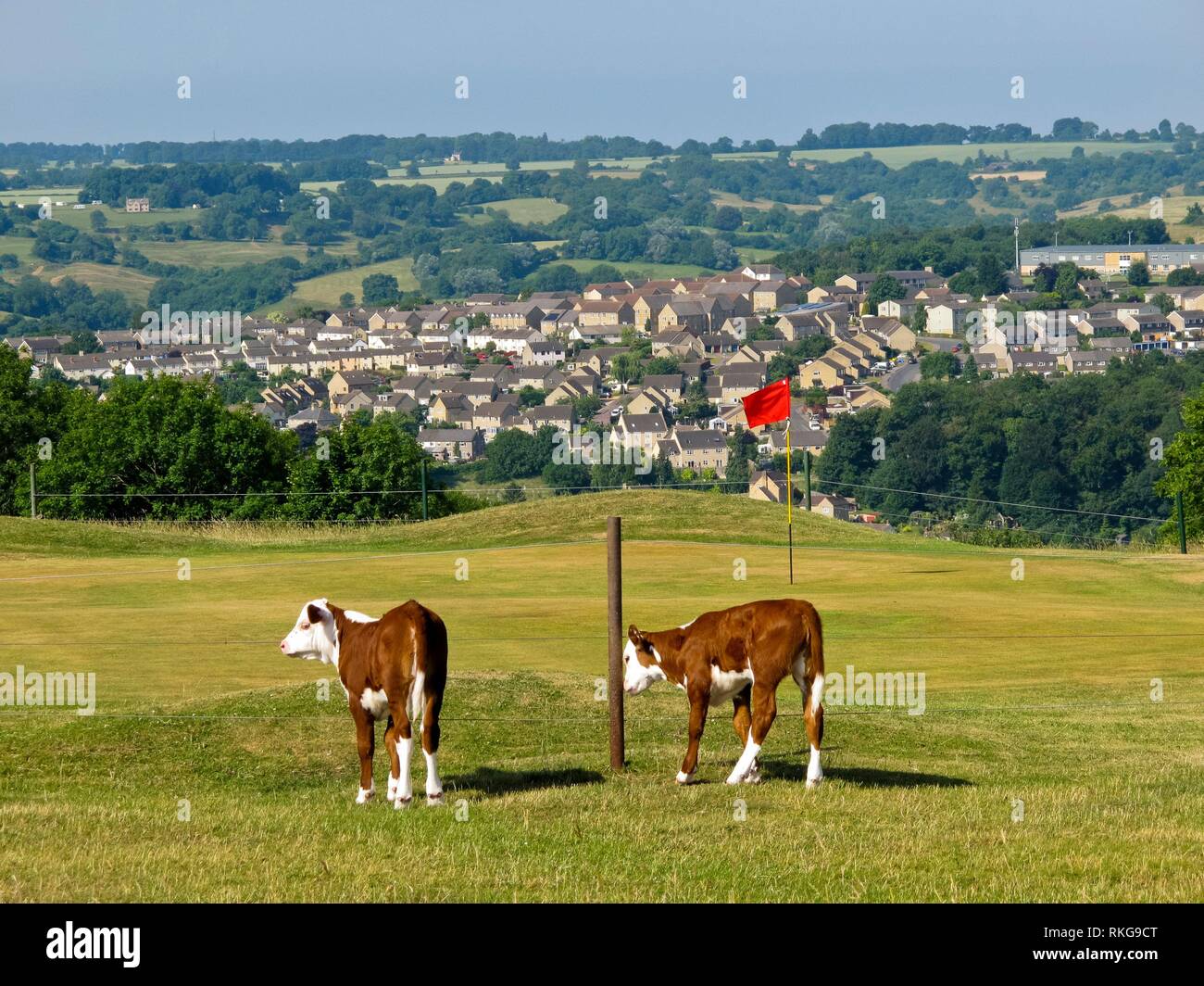 Minchinhampton common stroud gloucestershire hi-res stock photography ...