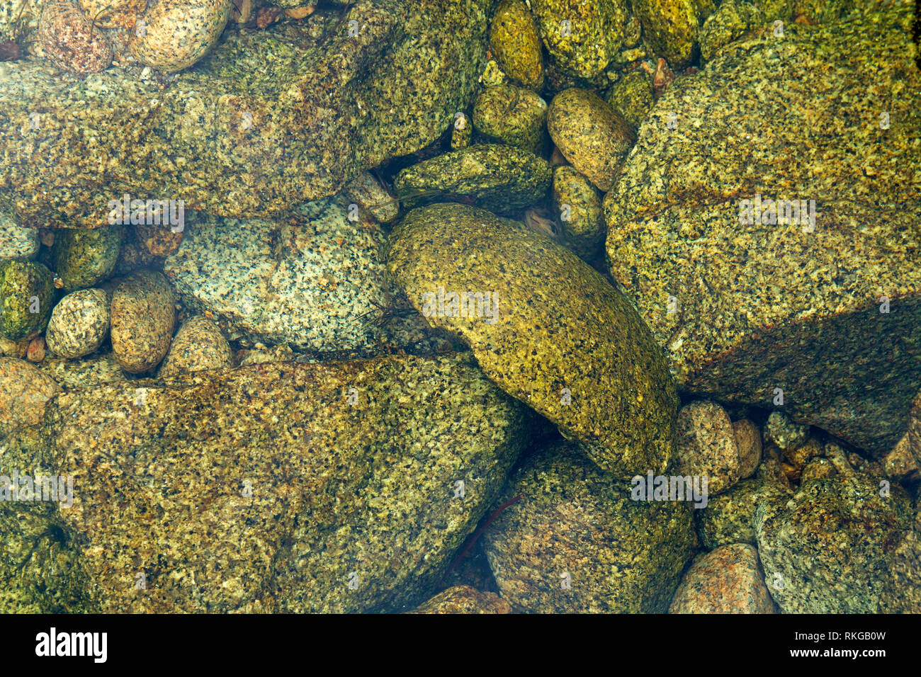 Rocks in the creek hi-res stock photography and images - Alamy
