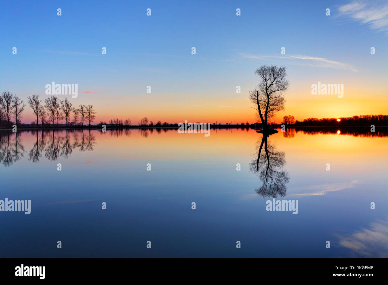 Tree and sun on lake sunrise Stock Photo - Alamy