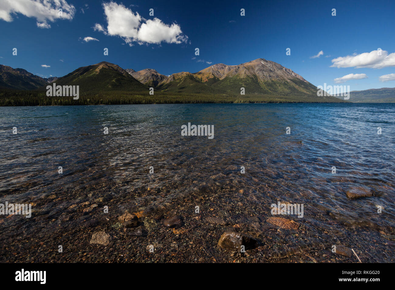 Iskut bc hi-res stock photography and images - Alamy