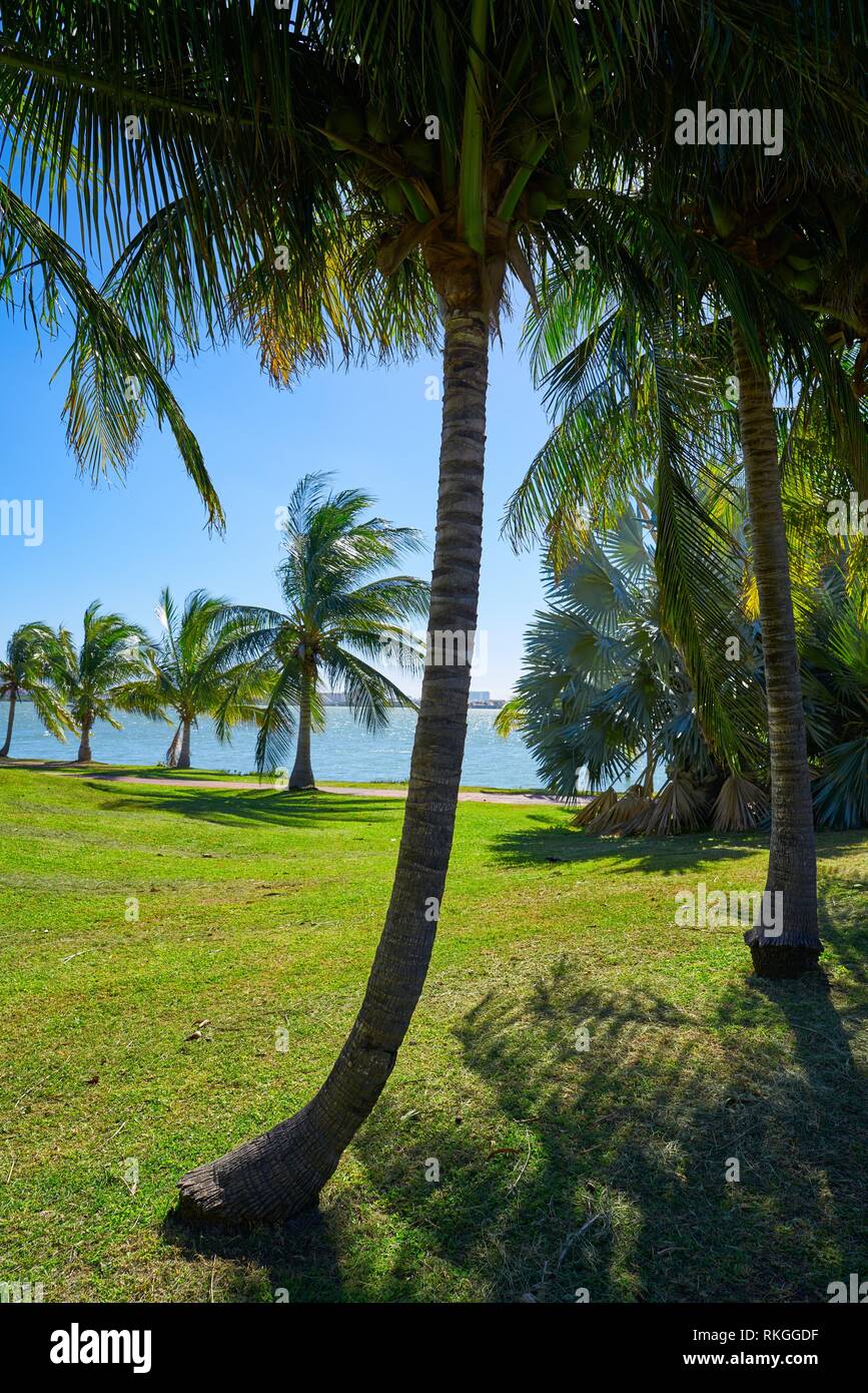 Ta p hi-res stock photography and images - Alamy