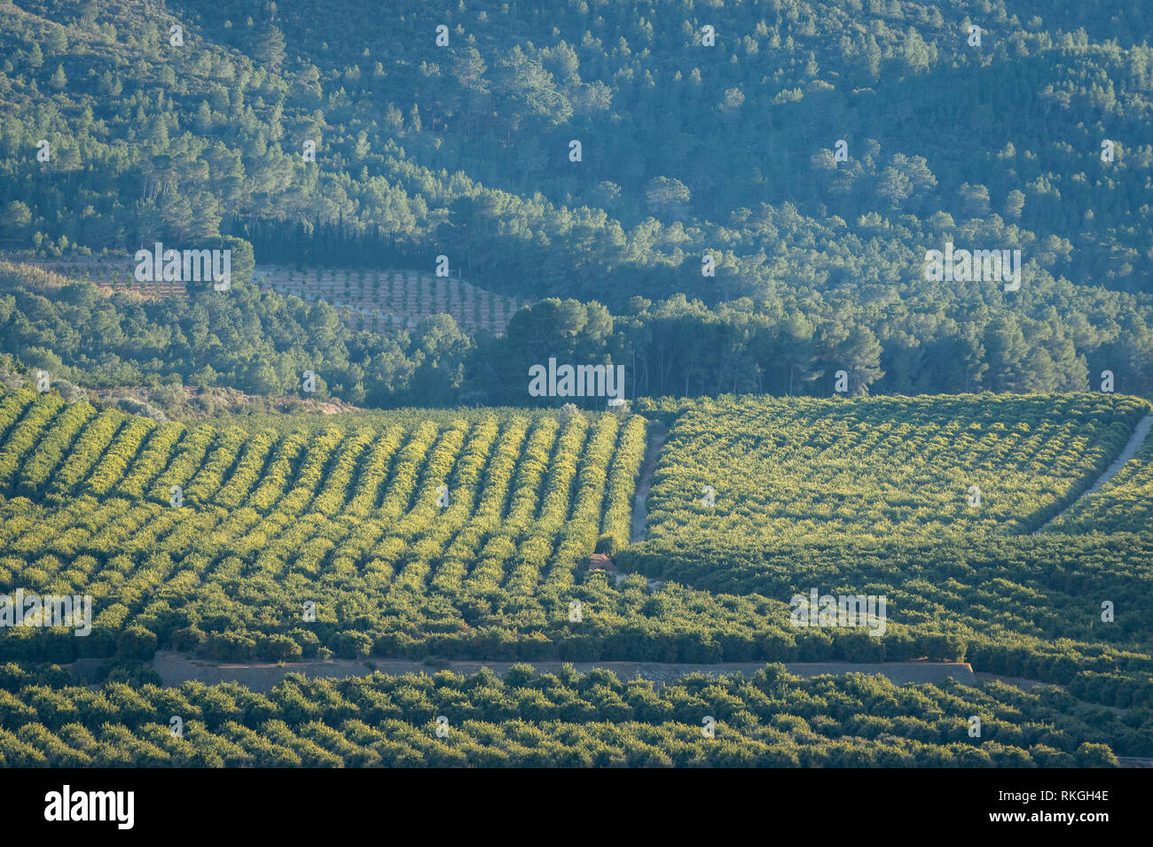 Orange farm fields in Spain rural village Stock Photo - Alamy