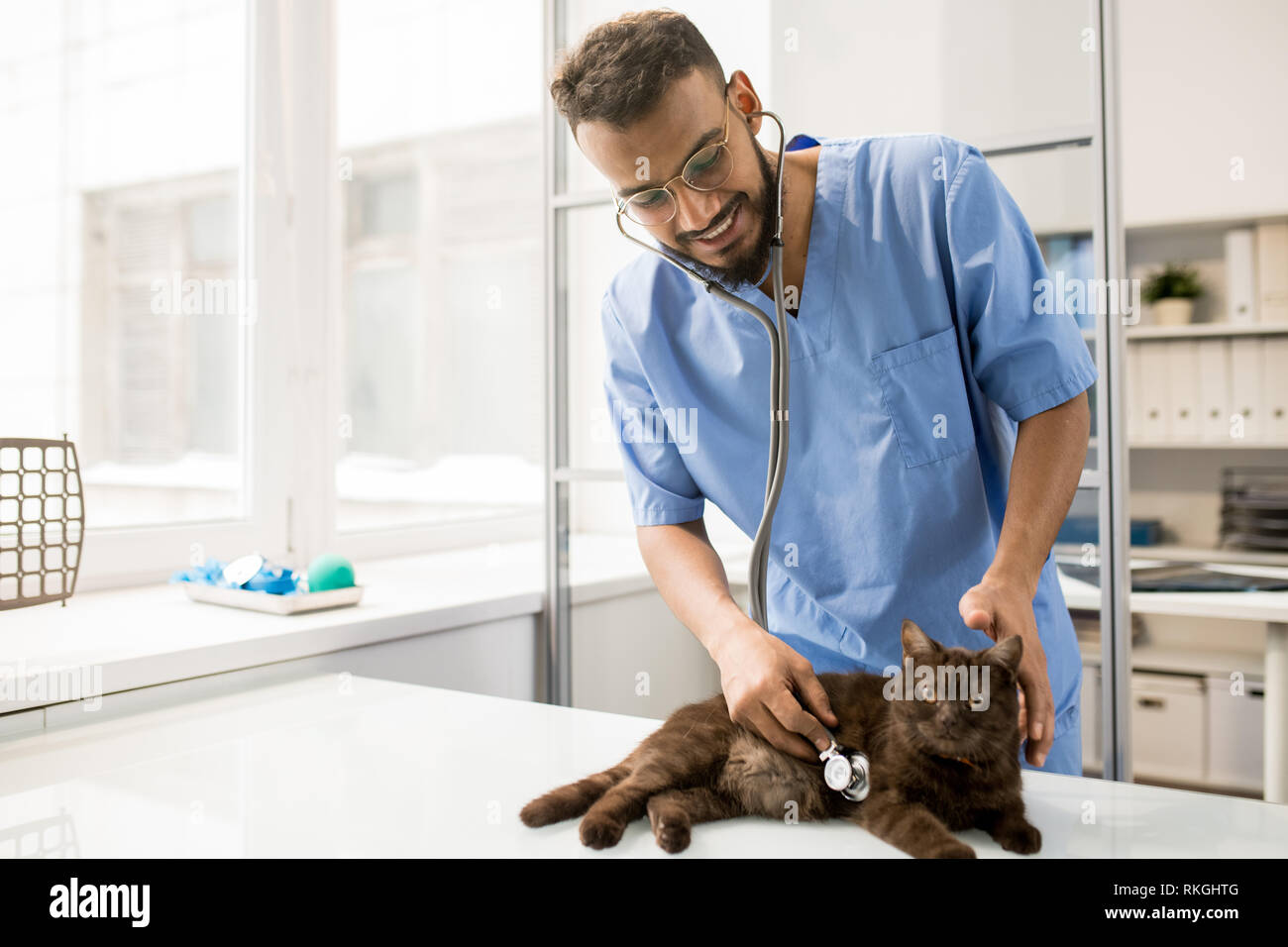 Veterinary treatment hi-res stock photography and images - Alamy