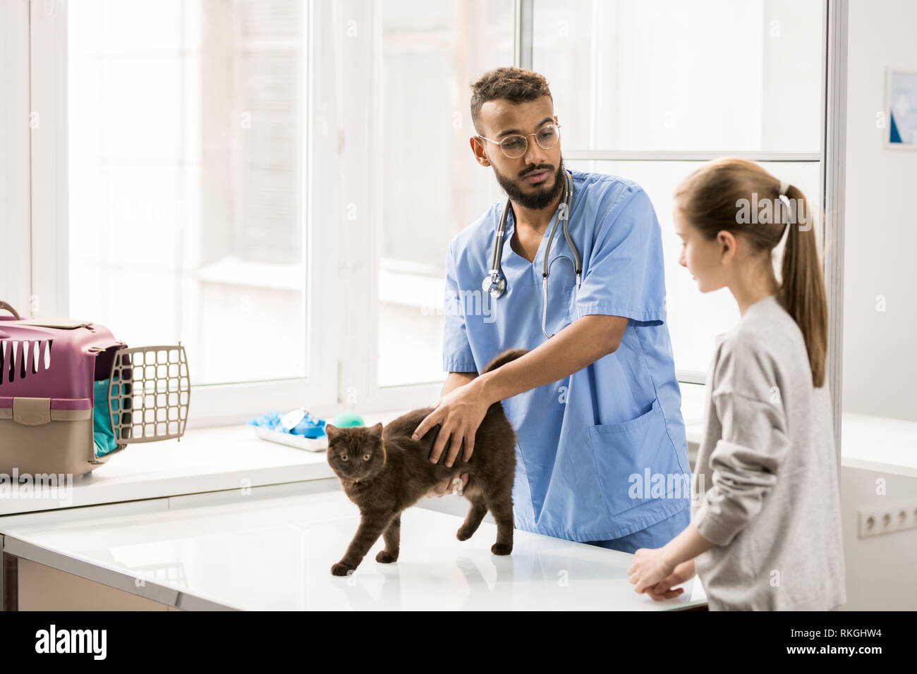 Veterinarian check up examination vet hi-res stock photography and ...