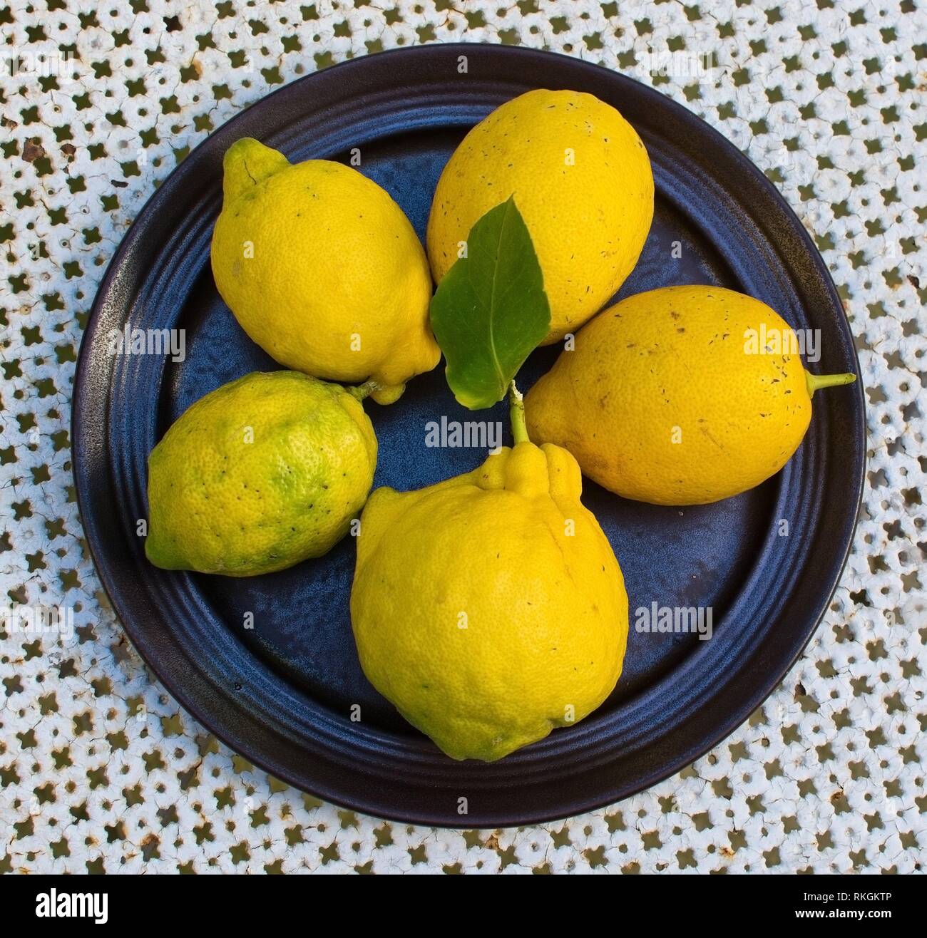 Organic outdoors pattern plant hi-res stock photography and images - Alamy