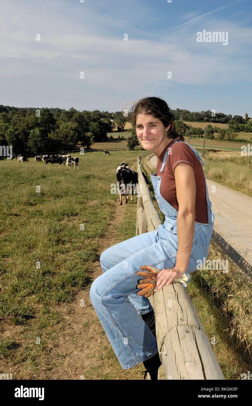 Sitting Cows High Resolution Stock Photography and Images - Alamy