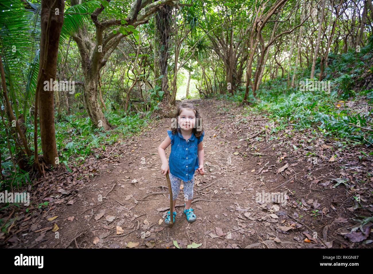 Hauula loop trail hi-res stock photography and images - Alamy