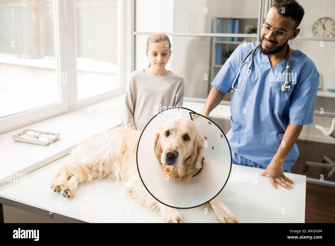 Dog on medical table Stock Photo - Alamy