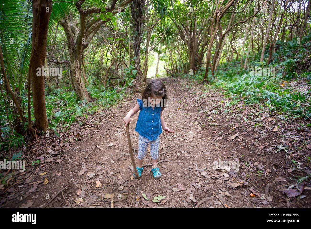 Hauula loop trail hi-res stock photography and images - Alamy
