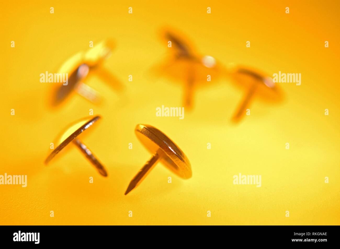 Brass color tack hi-res stock photography and images - Alamy