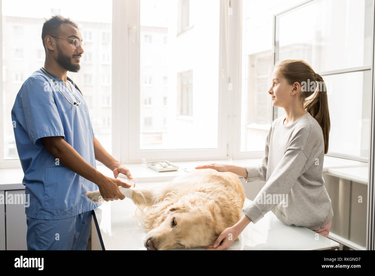 Doctor helping patient hi-res stock photography and images - Alamy