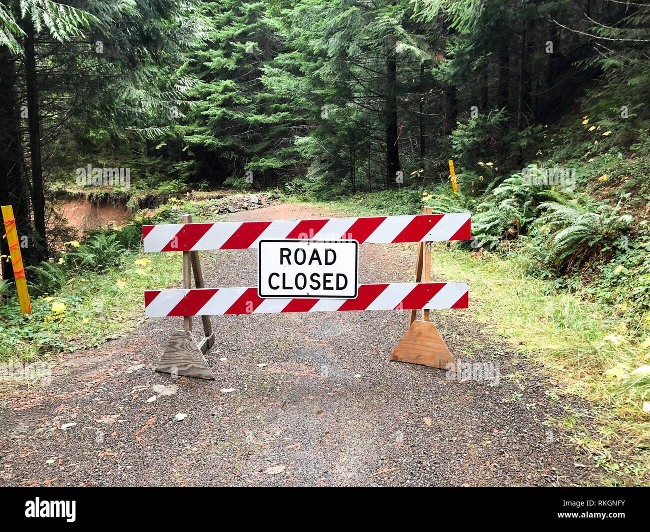 National forest service road hi-res stock photography and images - Alamy