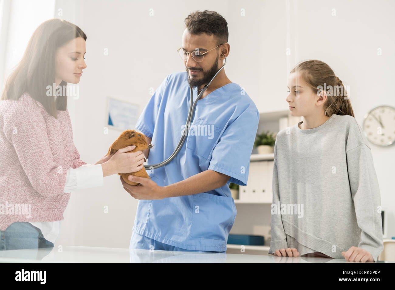 Veterinary care hi-res stock photography and images - Alamy