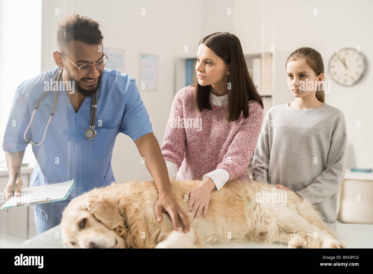 Consulting with vet doctor Stock Photo - Alamy