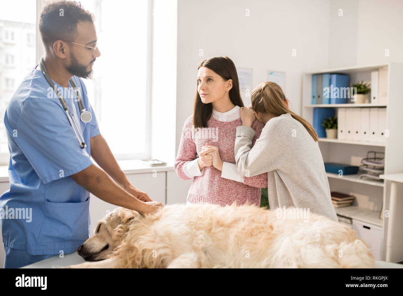 Worried dog person hi-res stock photography and images - Alamy