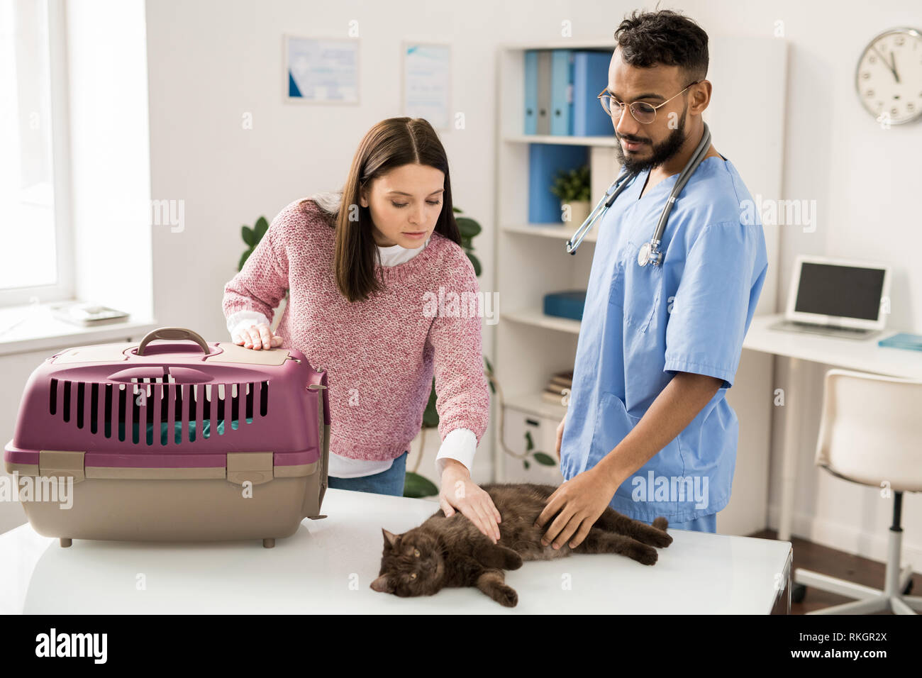 Before examining cat Stock Photo - Alamy