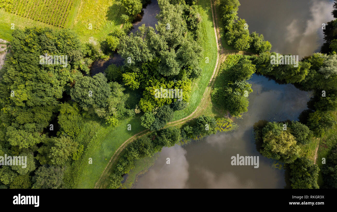 Aerial View of Ciron Rainforest, Gironde, France Stock Photo - Alamy