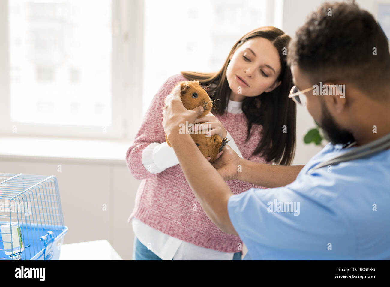 Animal doctor hi-res stock photography and images - Alamy