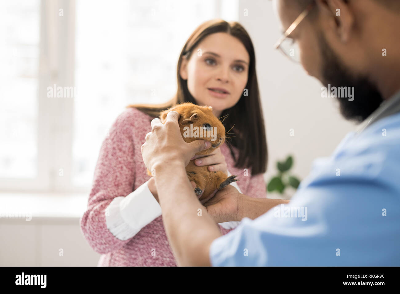 Veterinary clinician hi-res stock photography and images - Alamy