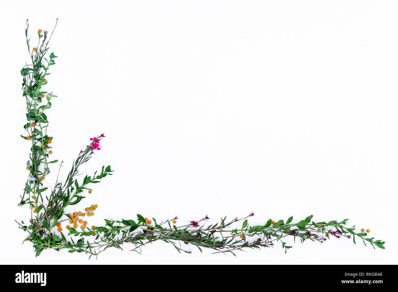 Boarder Cut Out Stock Images & Pictures - Alamy