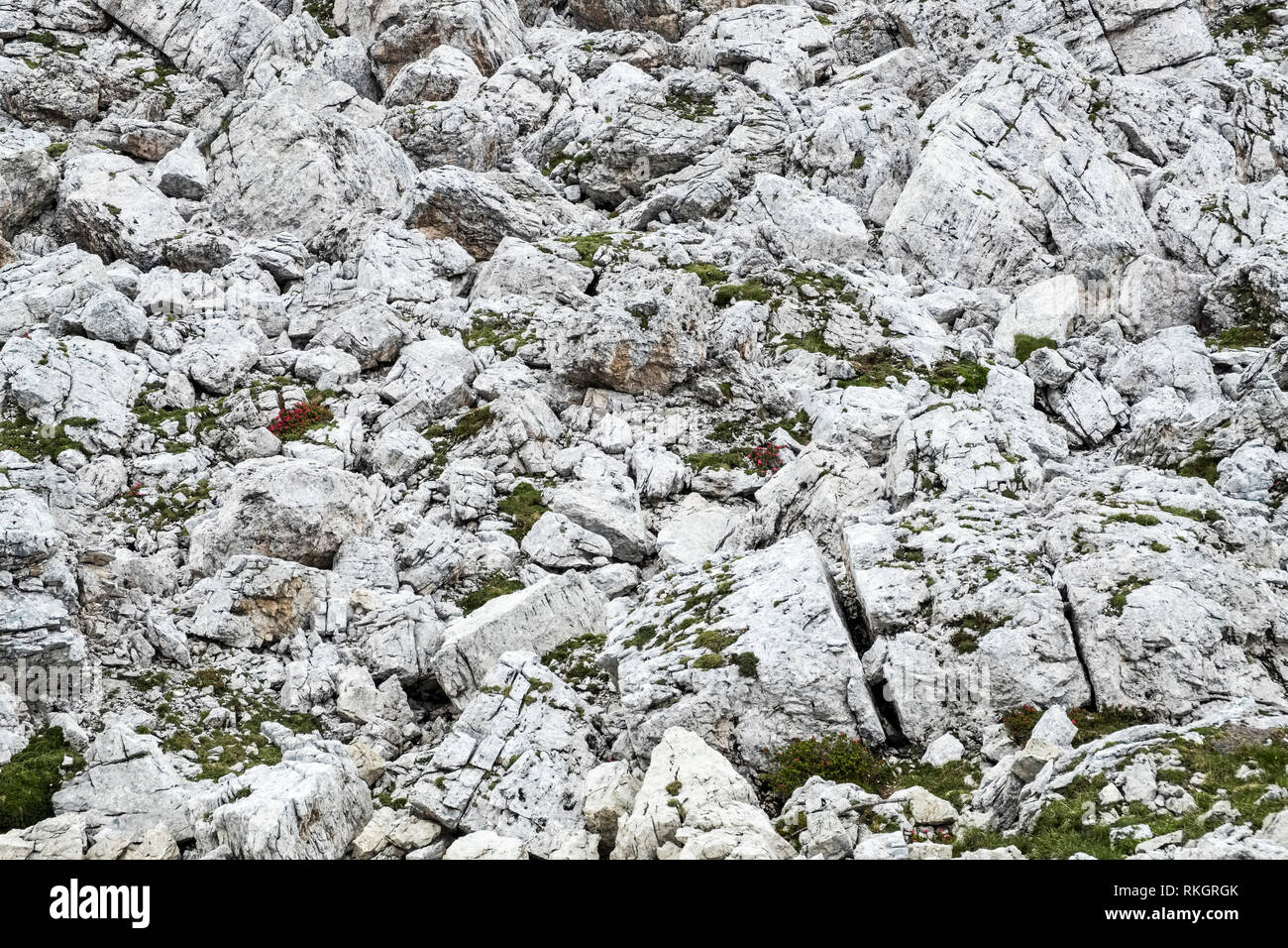 The Dolomites, northern Italy. The remains of a huge rockfall seen from ...