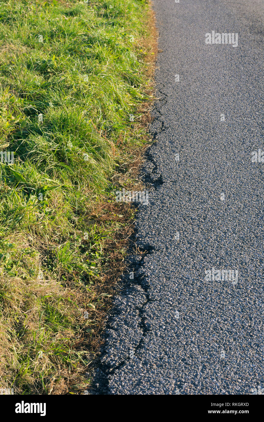 grass growing on the side of road Stock Photo - Alamy