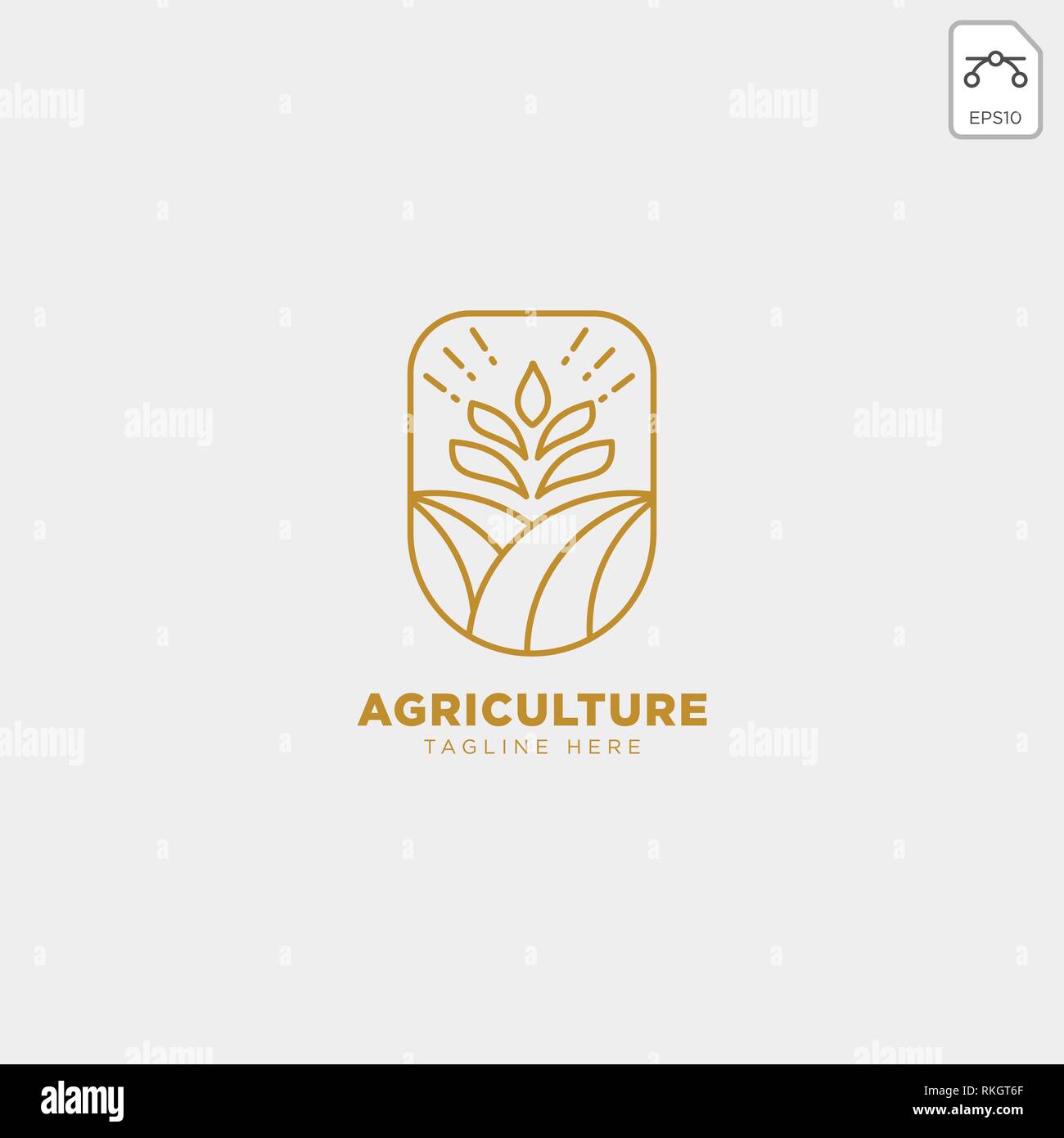 gold ulture farm line badge vintage logo template vector illustration ...