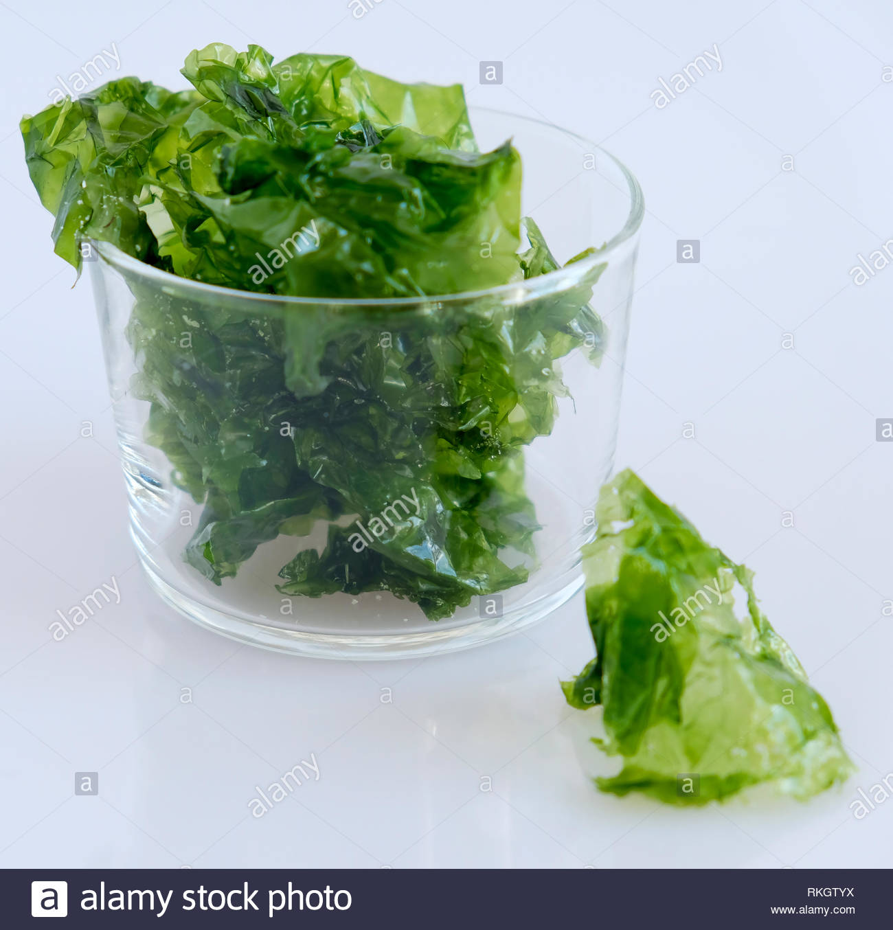 Sea Lettuce Stock Photos & Sea Lettuce Stock Images - Alamy