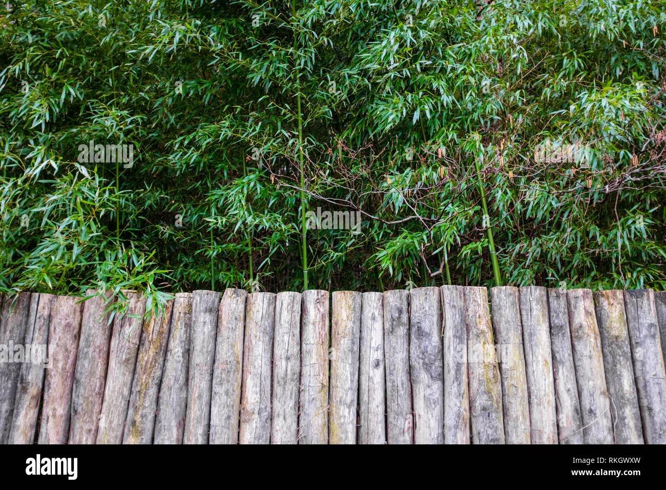Rough vegetation hi-res stock photography and images - Alamy