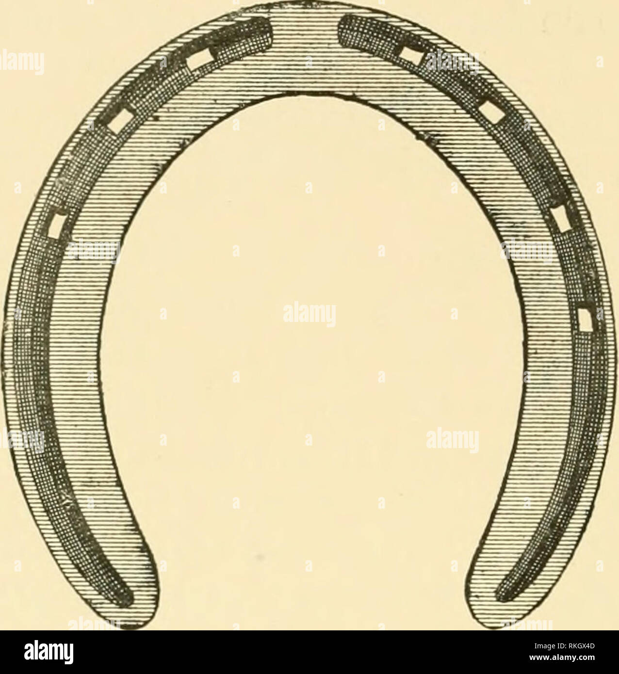 . The art of horse-shoeing. Horseshoeing; Hoofs; CHR 1905; PRO McNeil ...