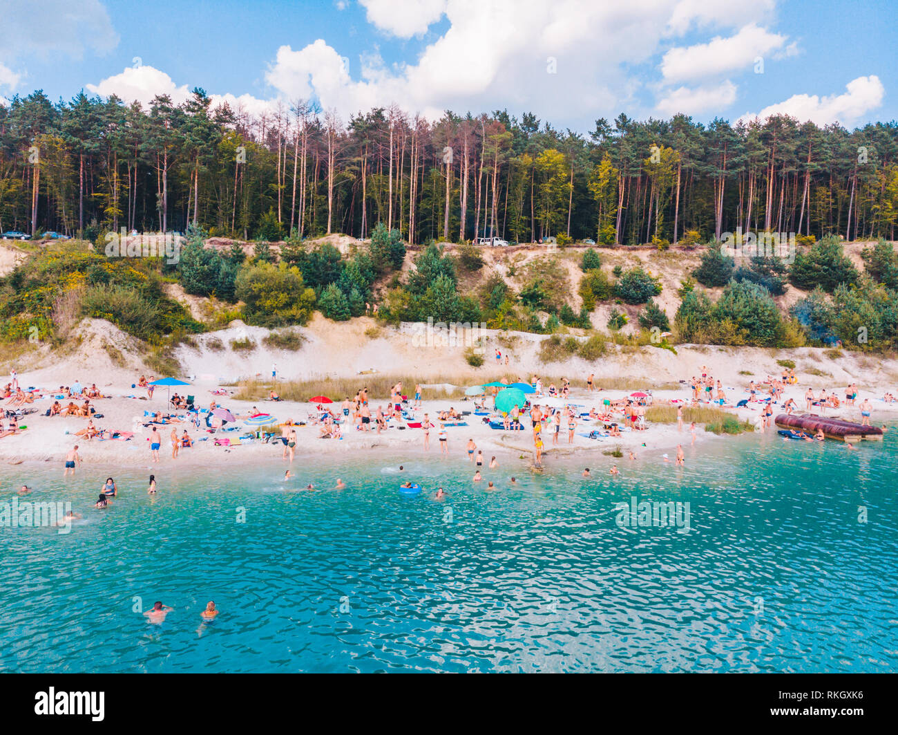 Rivershore forest hi-res stock photography and images - Alamy