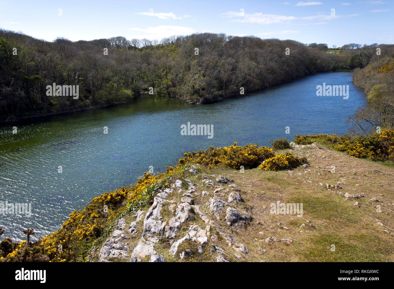 Bosherston hi-res stock photography and images - Alamy