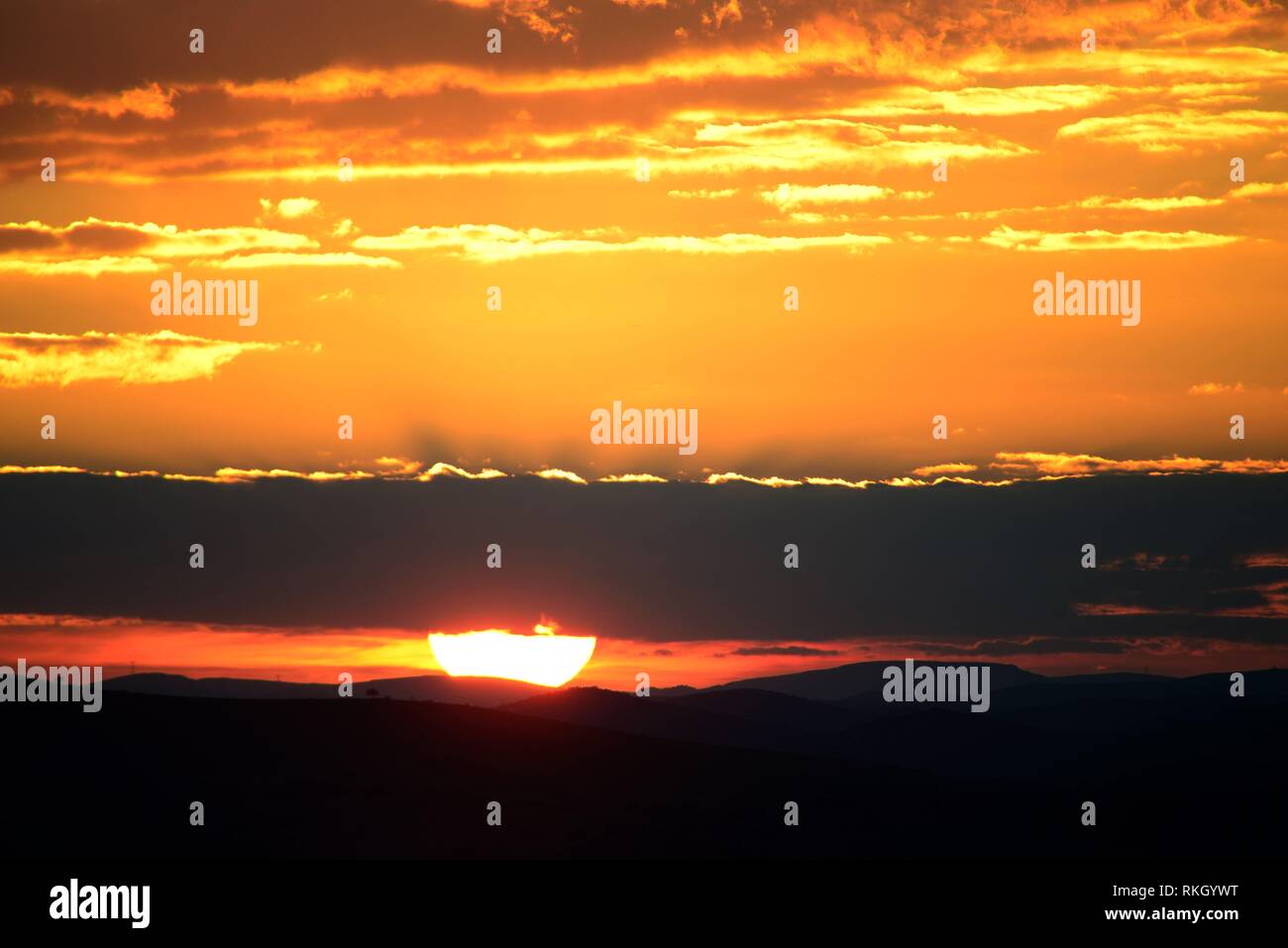 Backlit with sun star hi-res stock photography and images - Alamy
