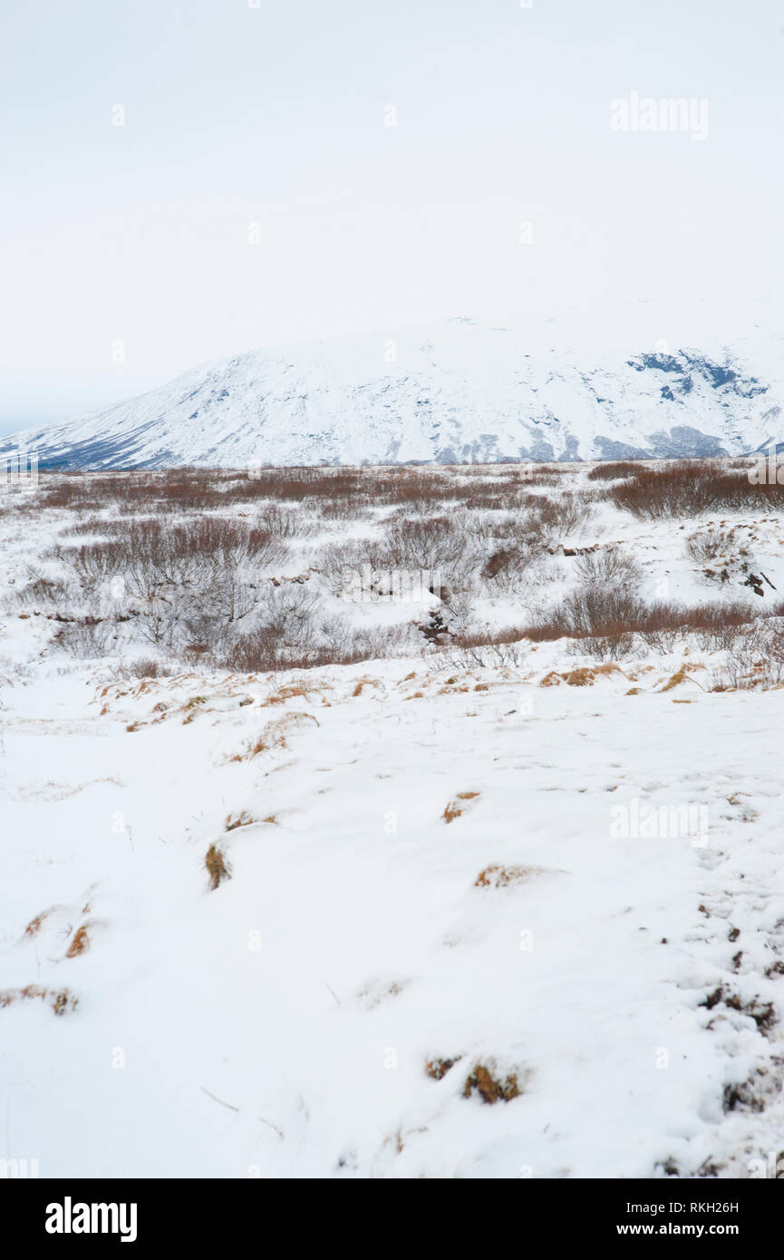 ICELAND: Somewhere in the Golden Circle. Endless snow desert Stock ...