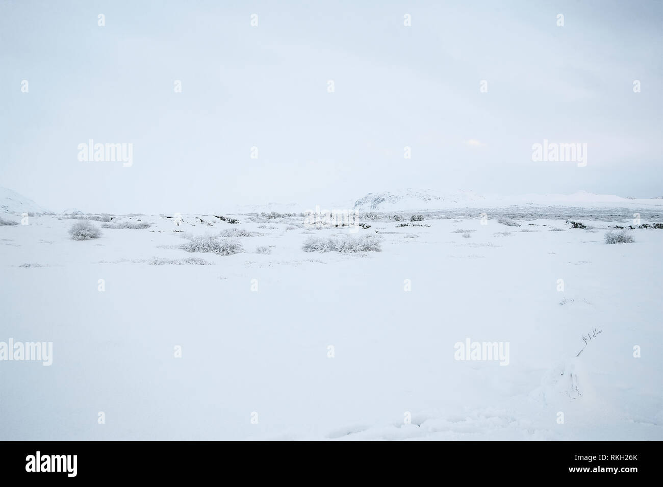 ICELAND: Tourist attraction Blue Lagoon, a hot geothermal swimming pool ...