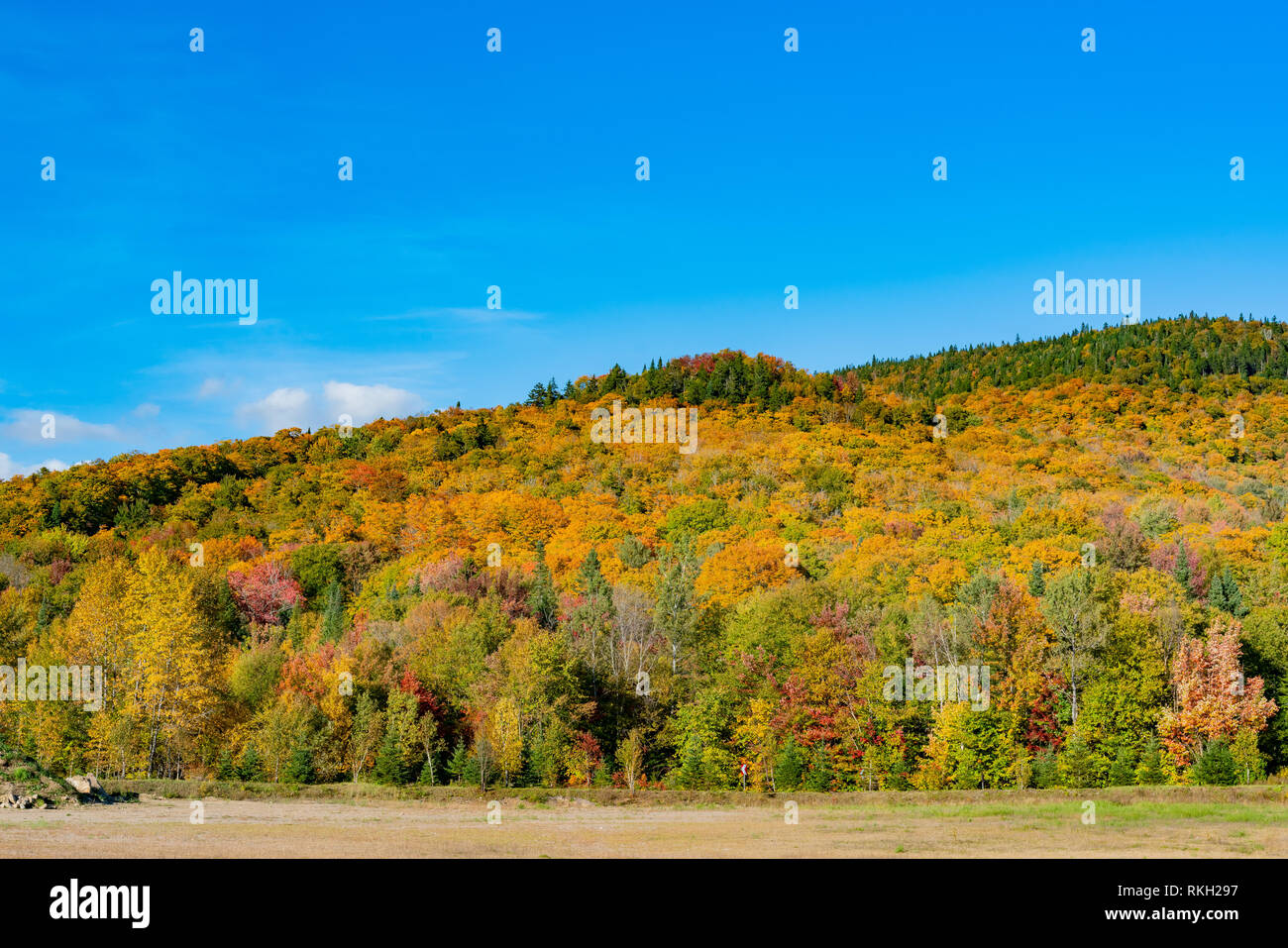 Aerial view of some rural fall color landscape at Quebec, Canada Stock ...