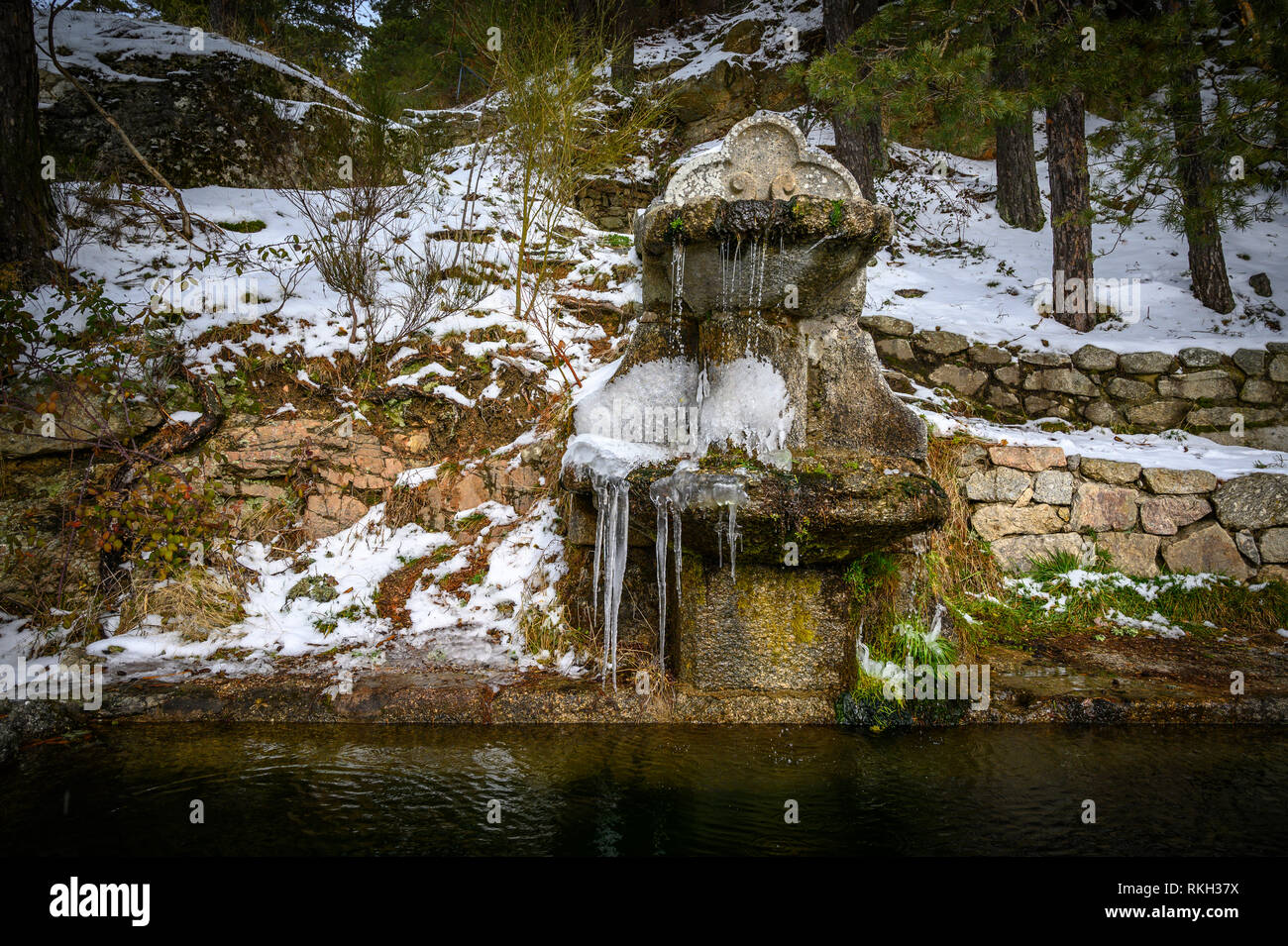 Fountain in forest hi-res stock photography and images - Alamy