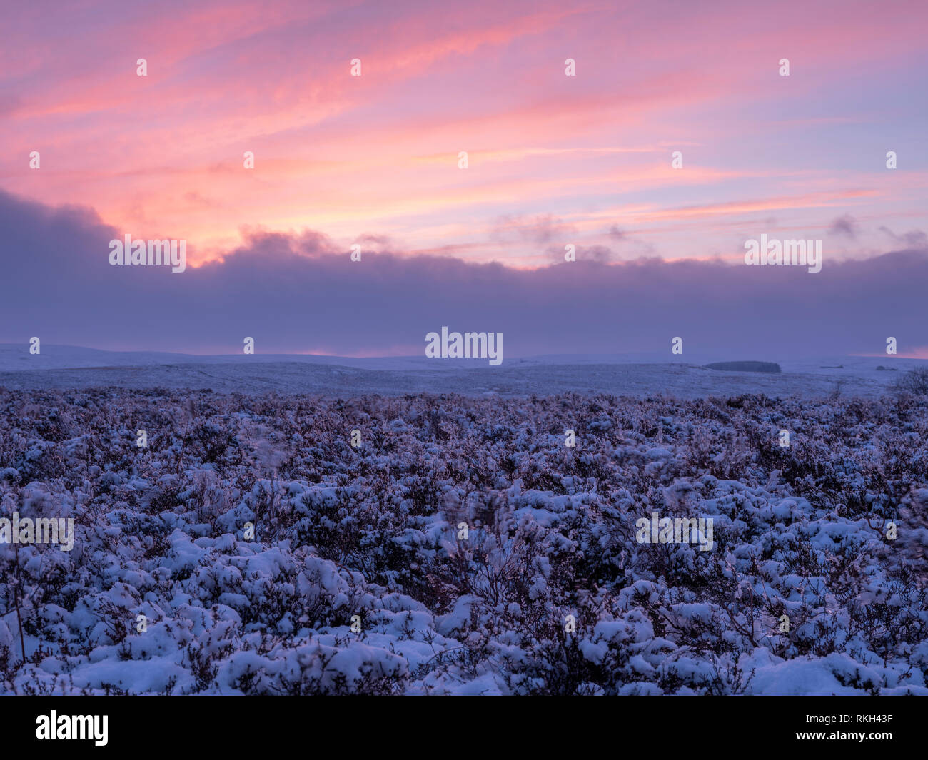 Country Haworth High Resolution Stock Photography and Images - Alamy