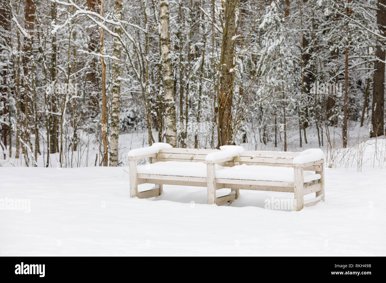 Snowy bench in a forest at winter Stock Photo - Alamy