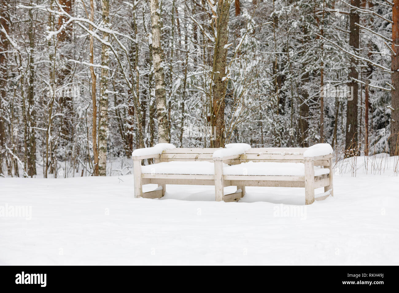 Empty bench in winter forest hi-res stock photography and images - Alamy