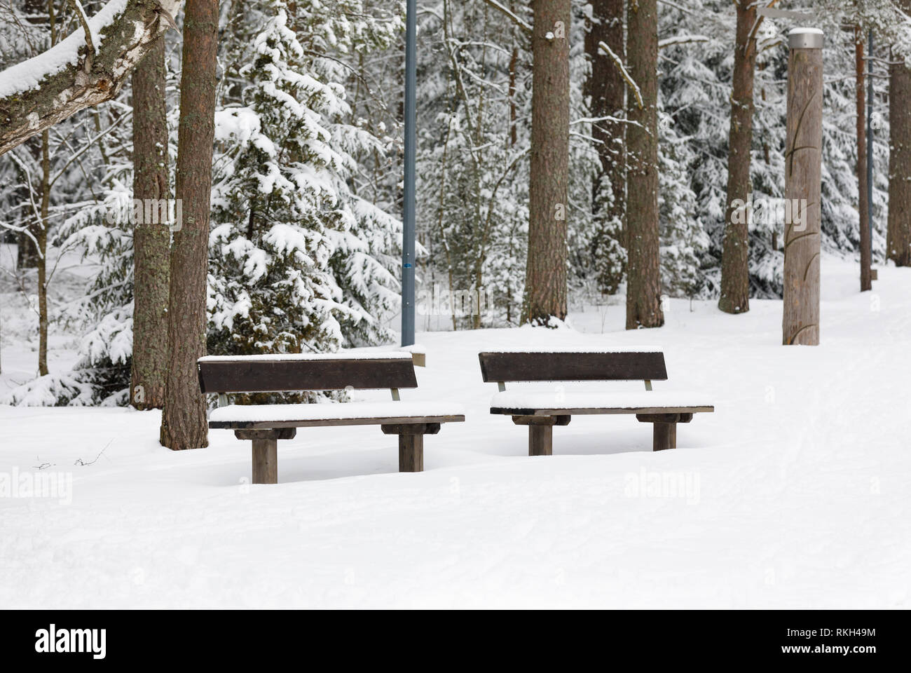Snowy bench in a forest at winter Stock Photo - Alamy