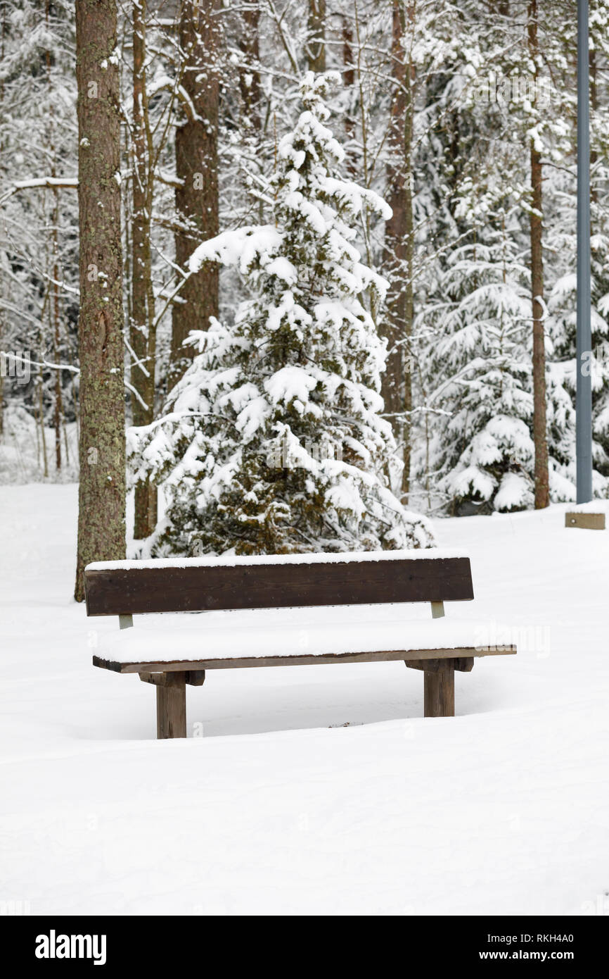 Snowy bench in a forest at winter Stock Photo - Alamy