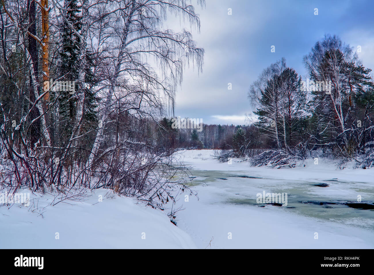 Branch in ice of river with snow in forest hi-res stock photography and ...